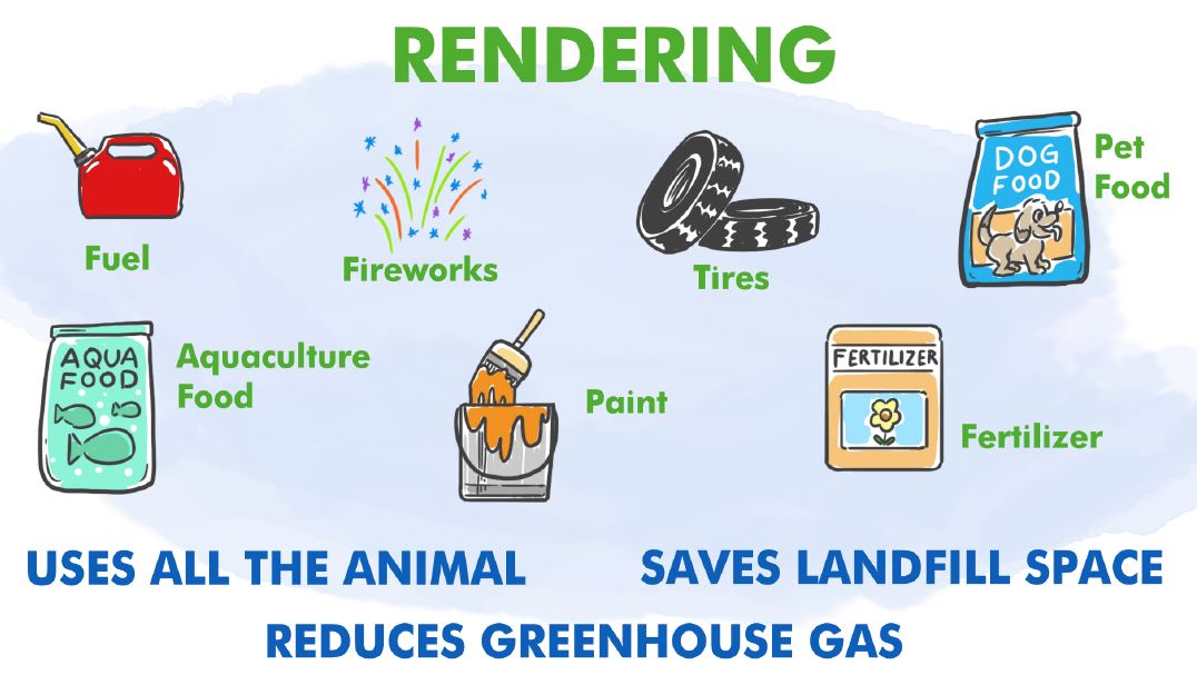 New Rendering Video: An Educational Tool for All Ages - North American ...
